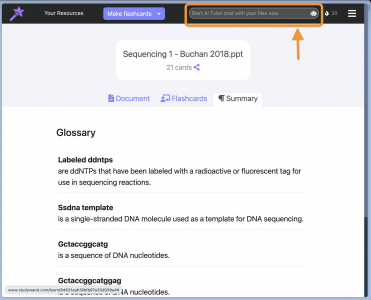 StudyWand: An AI-Powered Tool for Exam Preparation