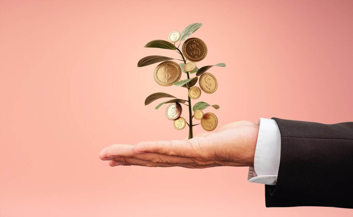 Which Colleges Qualify for Federal FAFSA Support? | AcademicHelp.net