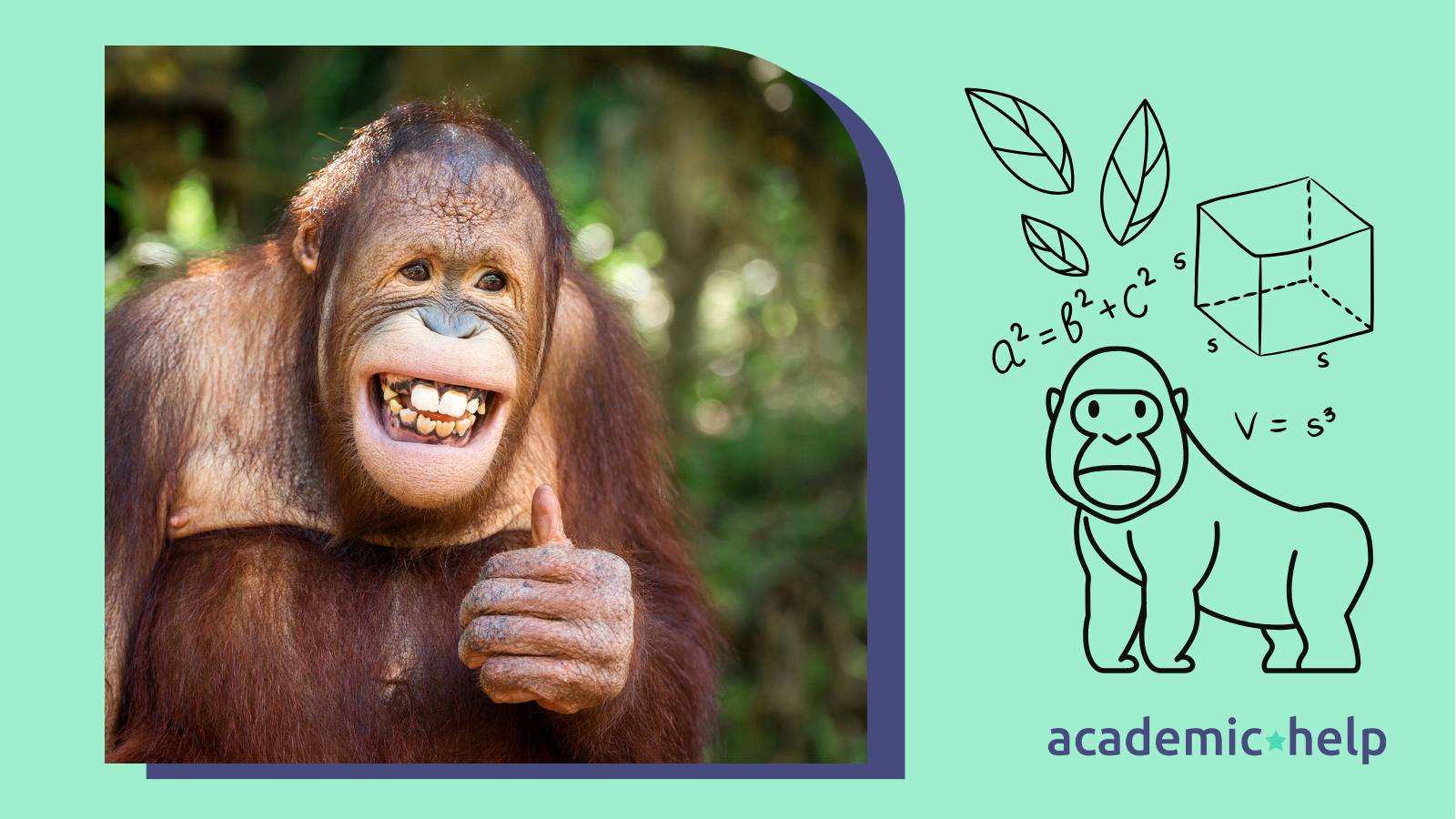 What Nobody Tells You About How Smart are Apes: Facts by AcademicHelp